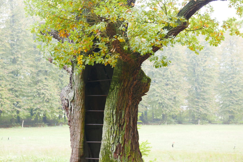 Zu Besuch bei der dicken Dame – BerlinFaces